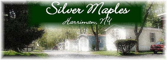 Silver Maples Homes for Sale